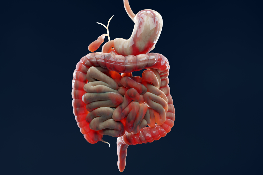 Understanding the New IBS VA Rating Criteria - Prestige Veteran
